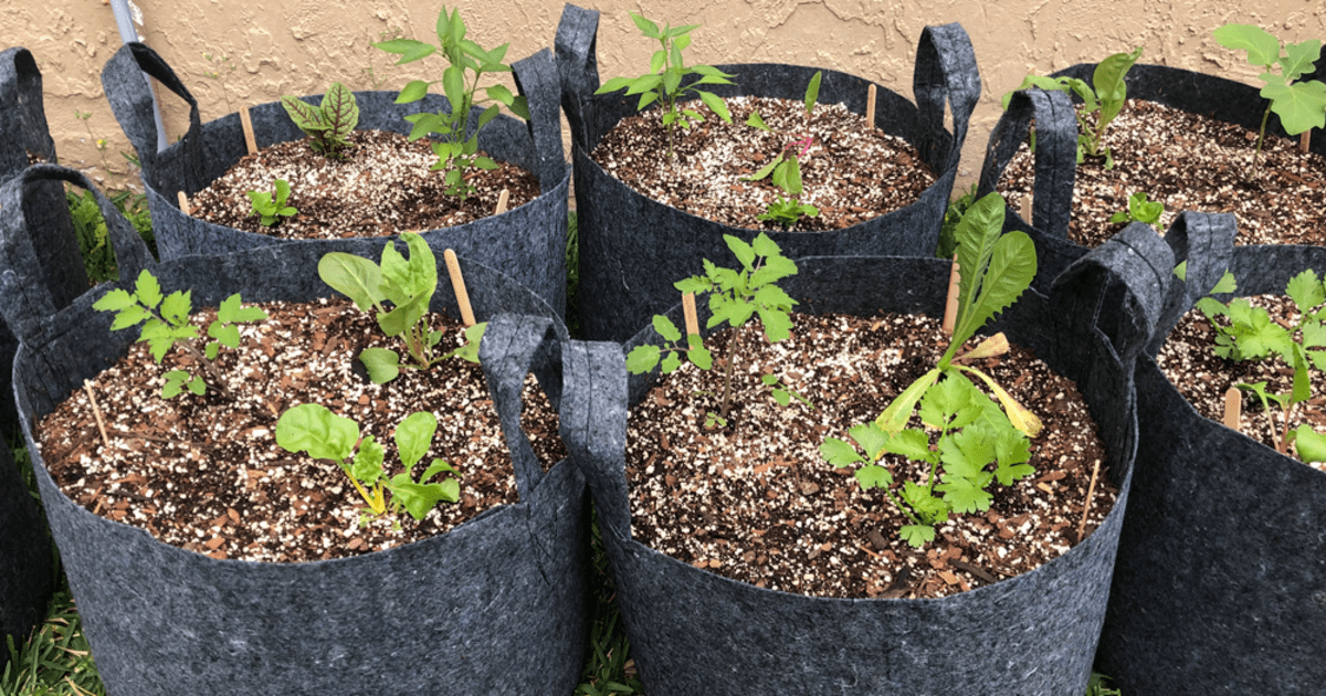 Green habits at home | FIU News - Florida International University