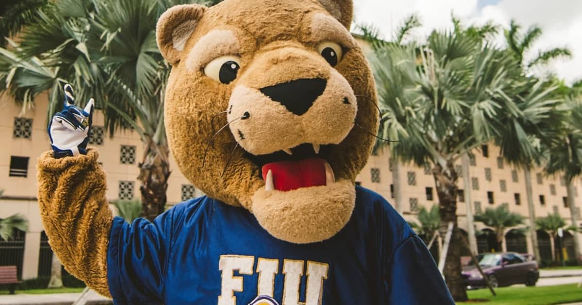 Engage virtually with Panthers this fall semester | FIU News - Florida ...