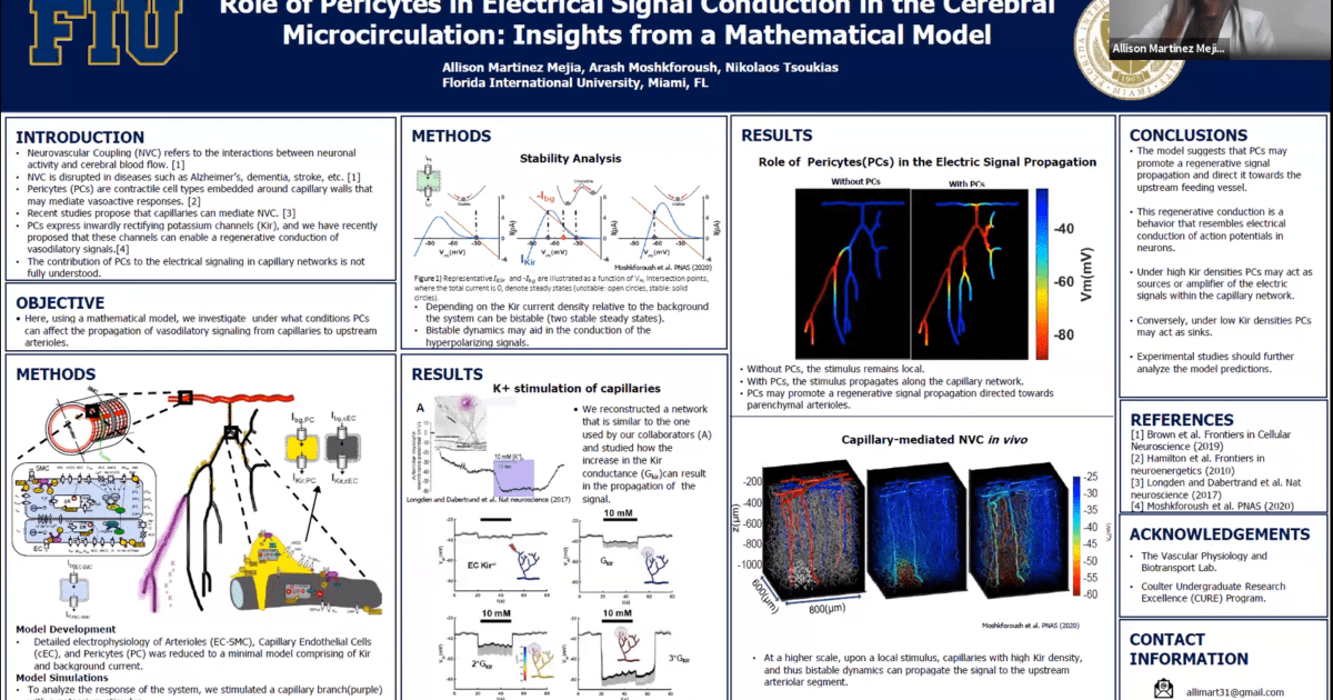 Biomedical engineering student wins first place at annual conference ...