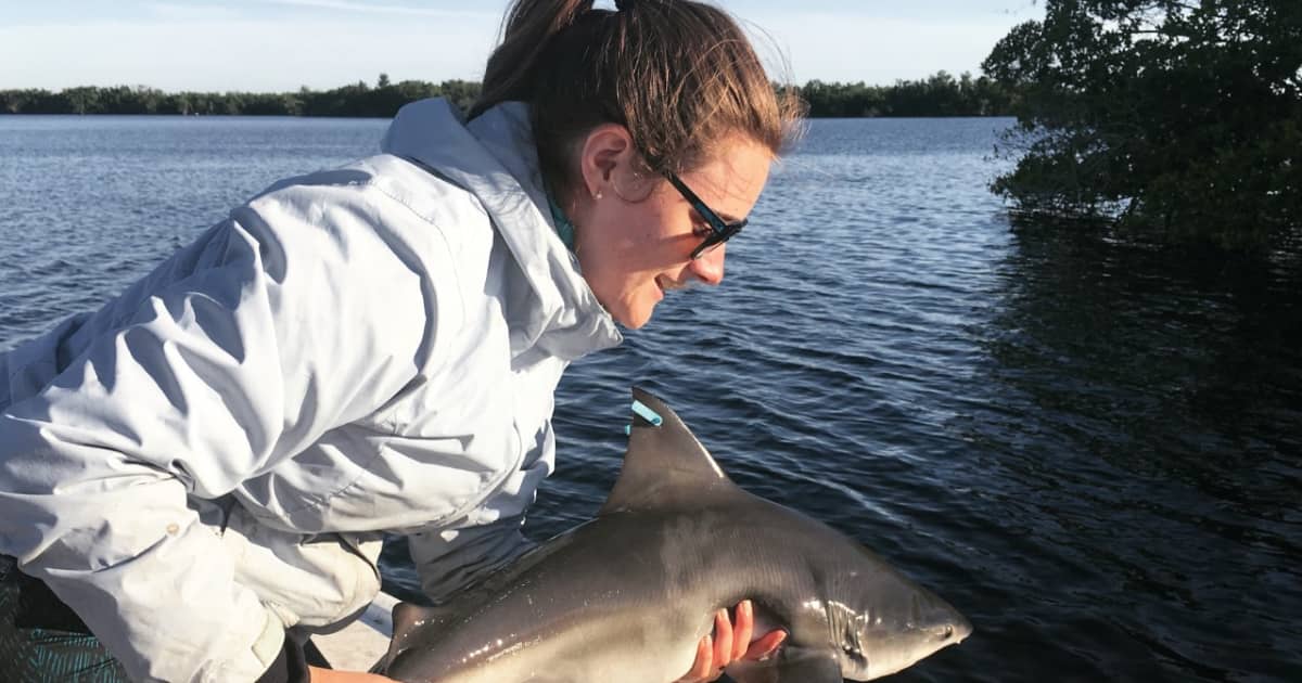 She saw a scary shark movie as a little girl — now she studies sharks ...
