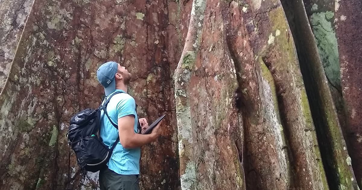 Environmental researchers uncover the story of the Amazon’s understory ...