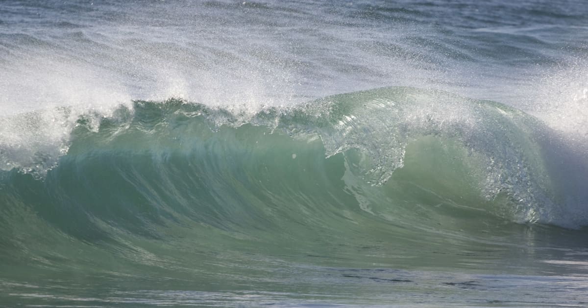 Seas are now rising higher than some buildings’ underground garages ...