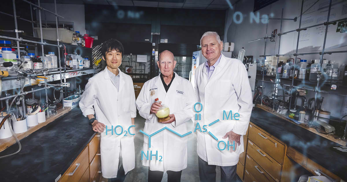 FIU researchers patent synthetic antibiotic | FIU News - Florida ... FIU researchers patent synthetic antibiotic | FIU News - Florida ...