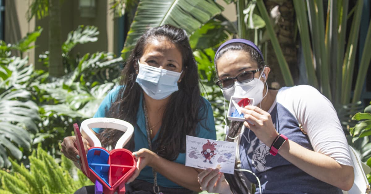 Students' 3D-printed heart toys teach children about their congenital ...