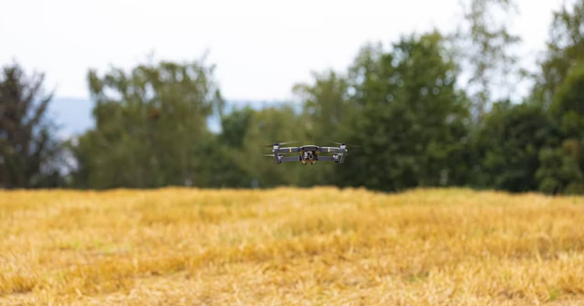 Digital technologies for biodiversity protection and climate action ...