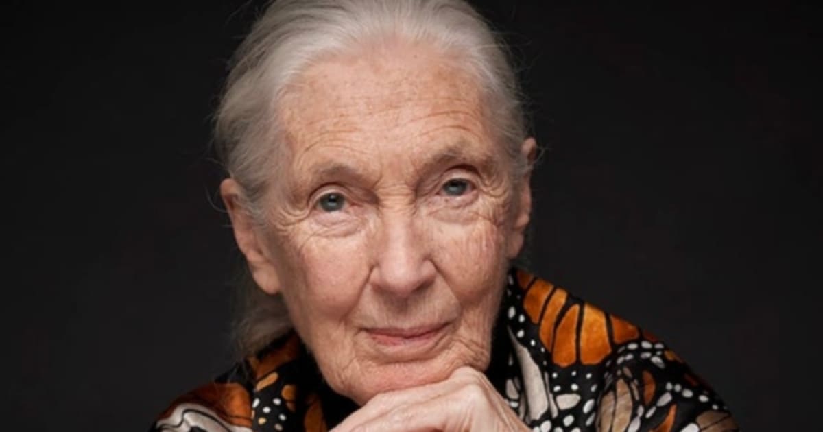 In memoriam: Legendary conservationist Jane Goodall to speak on campus ...