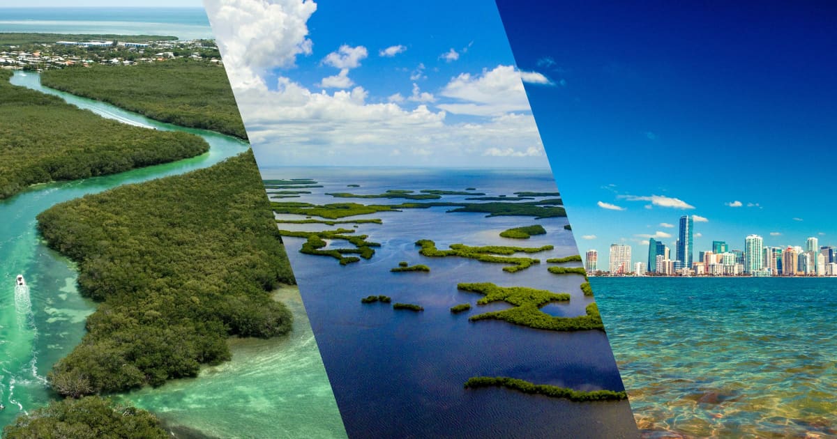 FIU team ups with world-renowned marine conservationist to spotlight ...
