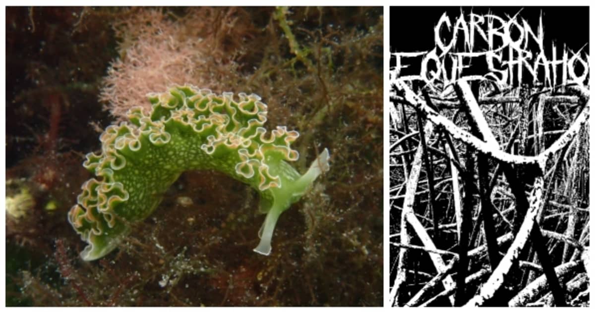 Art inspired by science: student researchers unleash their creative ...