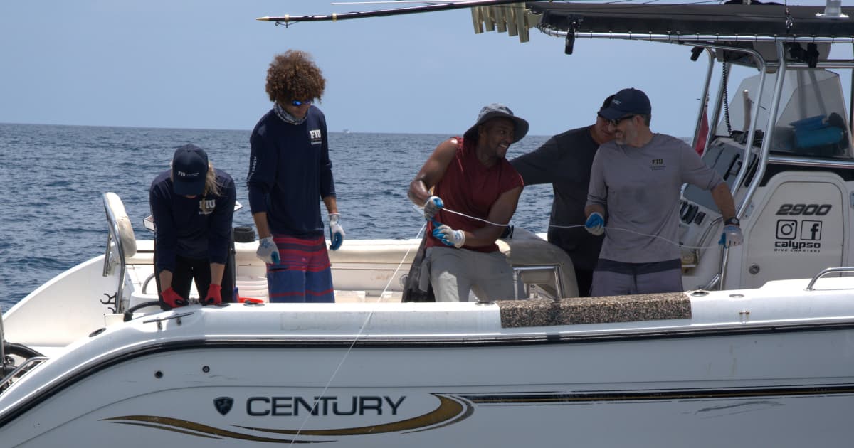 FIU scientists to be featured during National Geographic's SharkFest ...