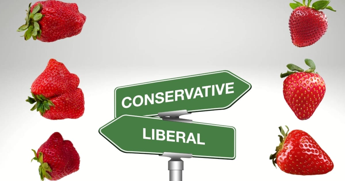 Veggies and voting: What your produce basket says about your ballot ...