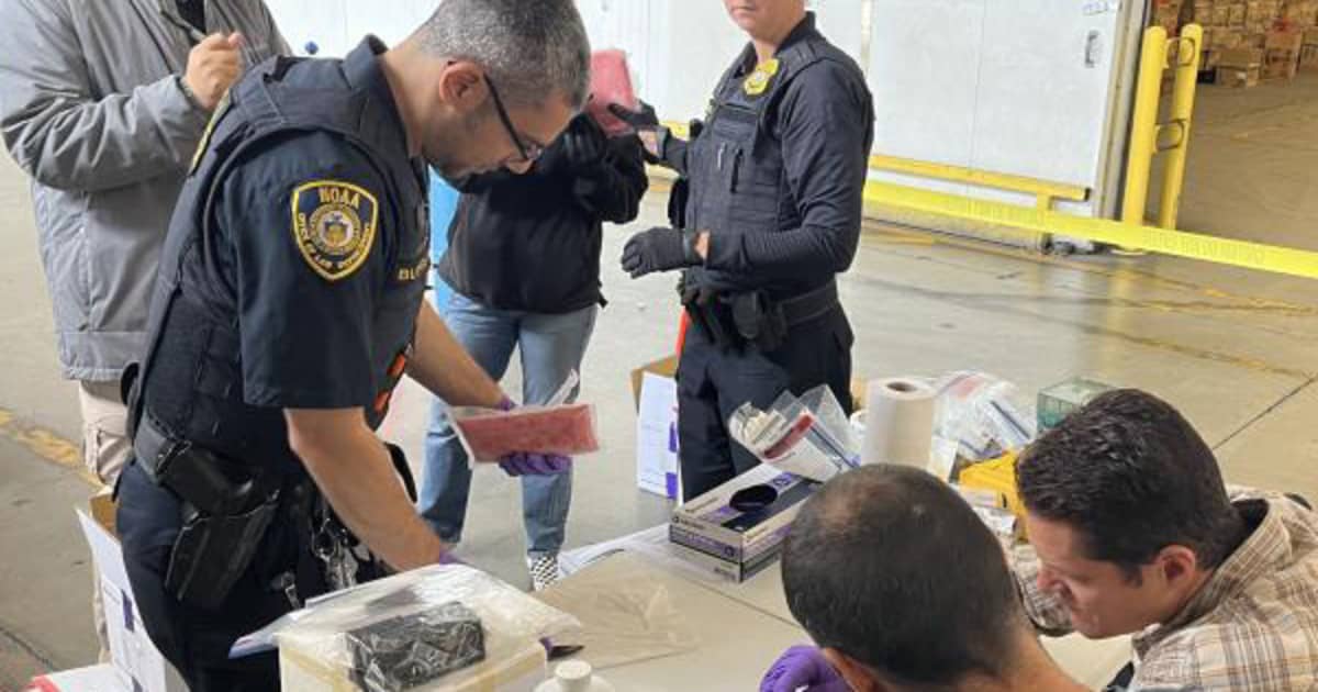 Fishy labels caught by DNA | FIU News - Florida International University