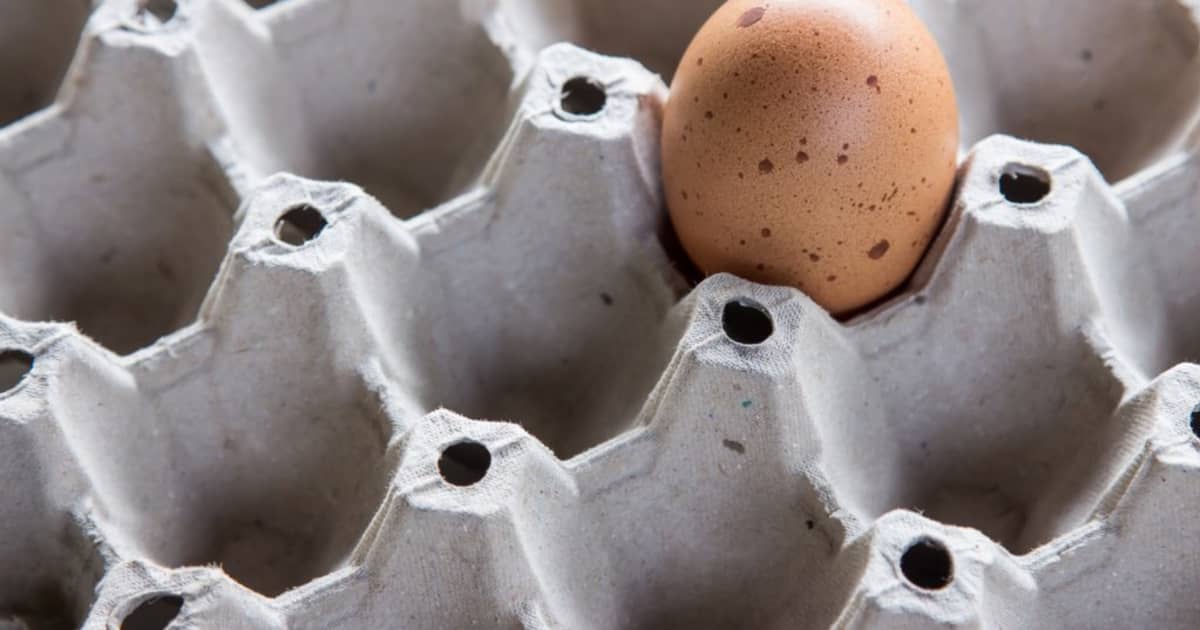 Bird flu and the egg shortage: Epidemiologist shares what you should ...