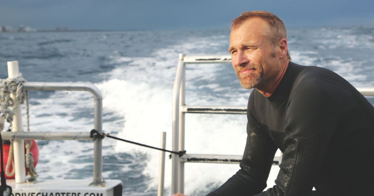 Healthy shark populations are crucial for healthy oceans | FIU Research ...