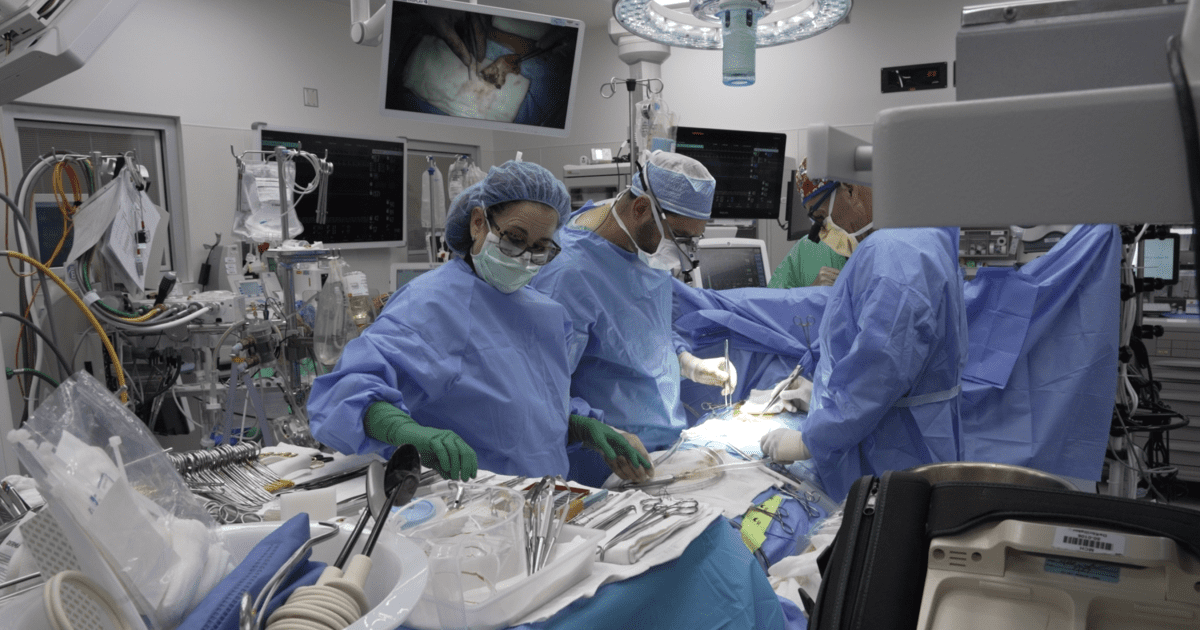 First partial heart transplant in Florida gives children a life ...
