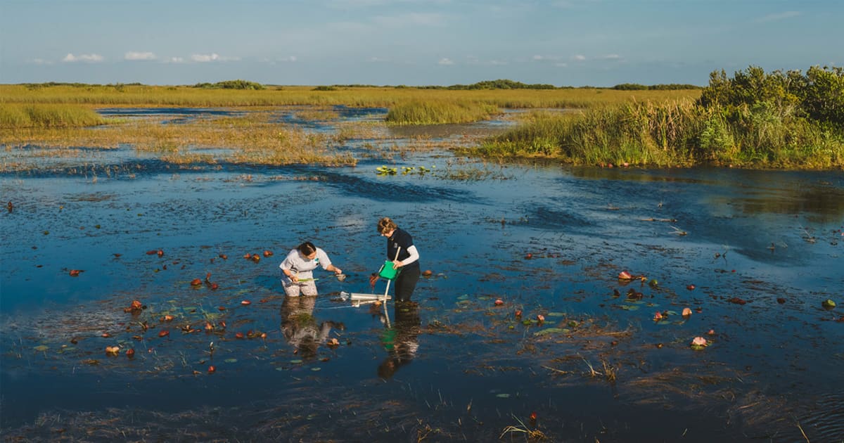 FIU Research Magazine - Florida International University