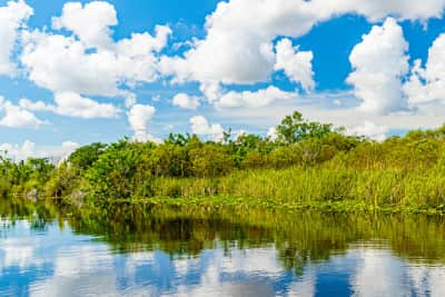 CREST Center for Aquatic Chemistry and Environment | CREST Center for ...