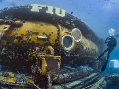 Science & Technology | FIU News - Florida International University