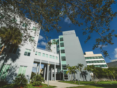 Medicine & Health Sciences | FIU News - Florida International University