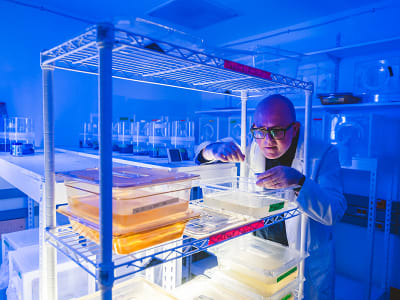 FIU Research Magazine - Florida International University