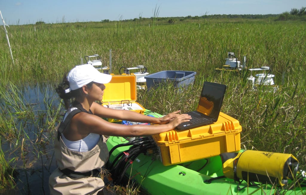 Multi-university effort to investigate Glades water quality | FIU News ...