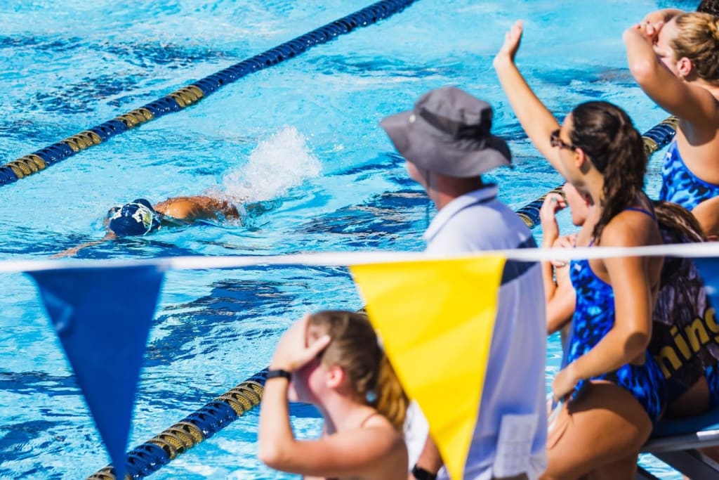 A look into the culture that's powering Swimming and Diving's ...