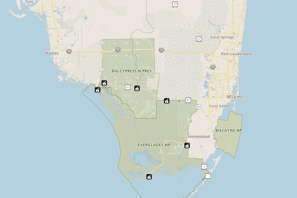 The search for one of Florida’s most rare, endangered orchids | FIU ...