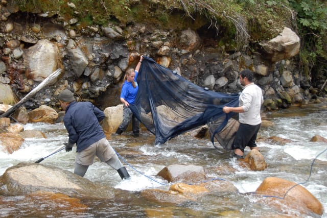 River connectivity inspires collaborative research efforts | FIU News ...