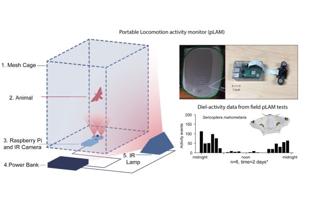 FIU student develops portable sensor-packed tool for insect tracking ...