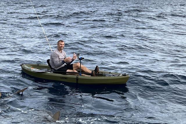 FIU scientists featured in SharkFest 2022 shows on National Geographic ...