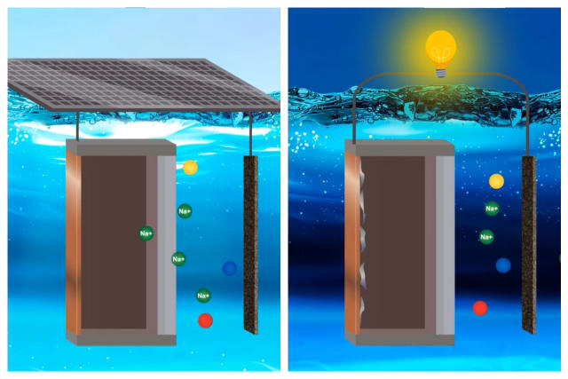 Engineering students’ seawater battery project wins first at Go Green ...