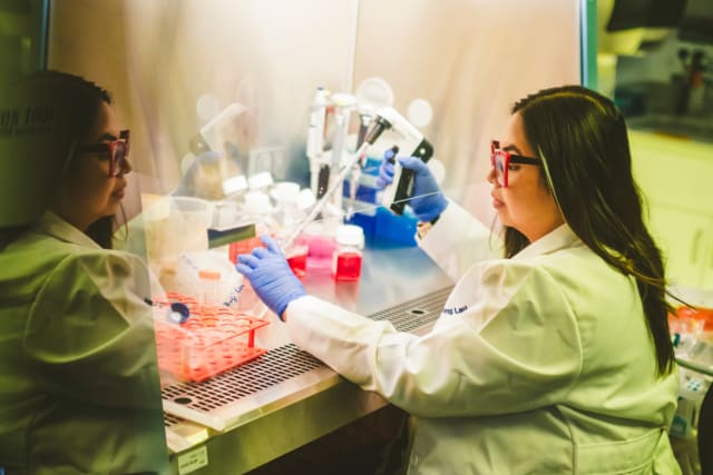 How a sugar coating could make these cancer killers even more powerful ...