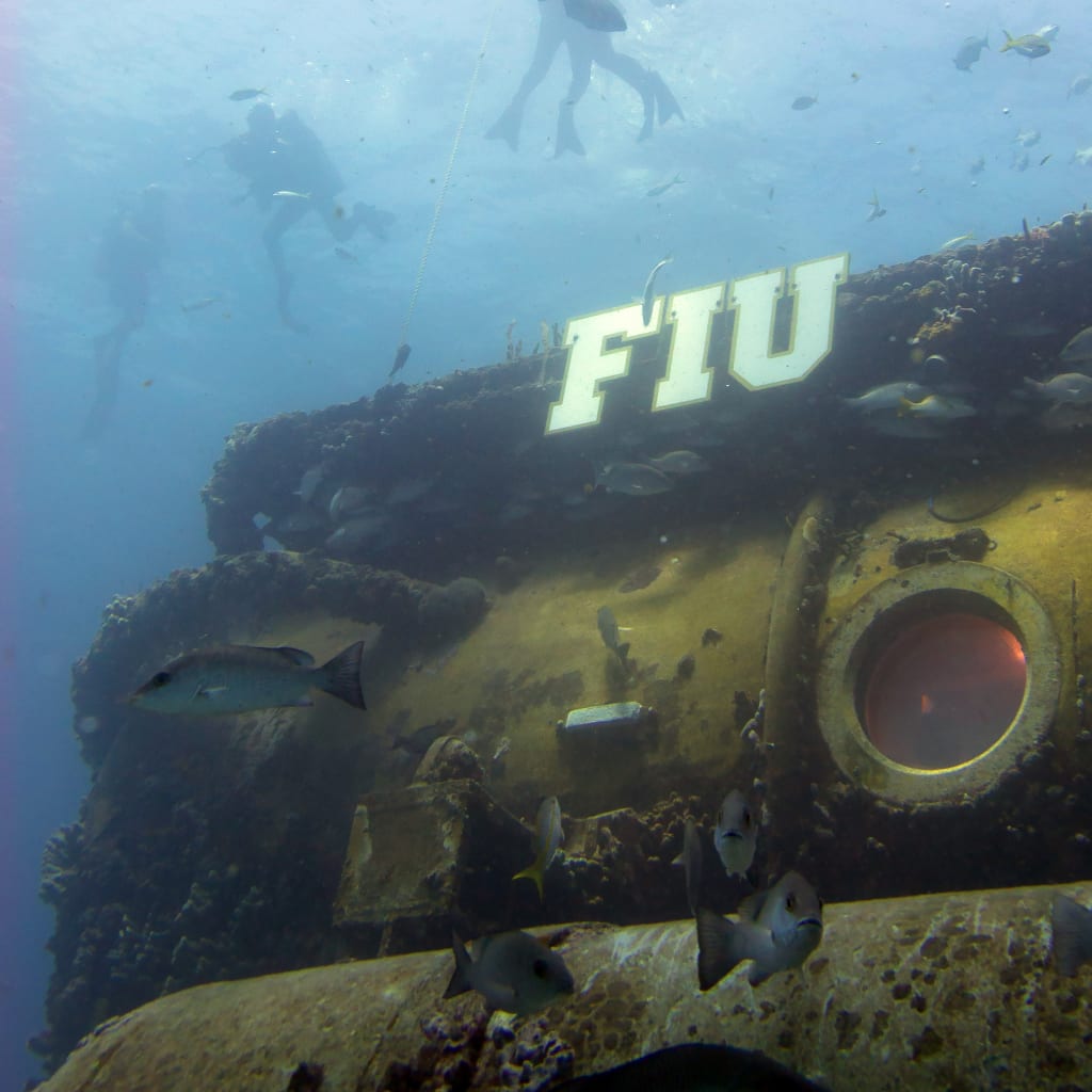 NASA returns to Aquarius | FIU News - Florida International University