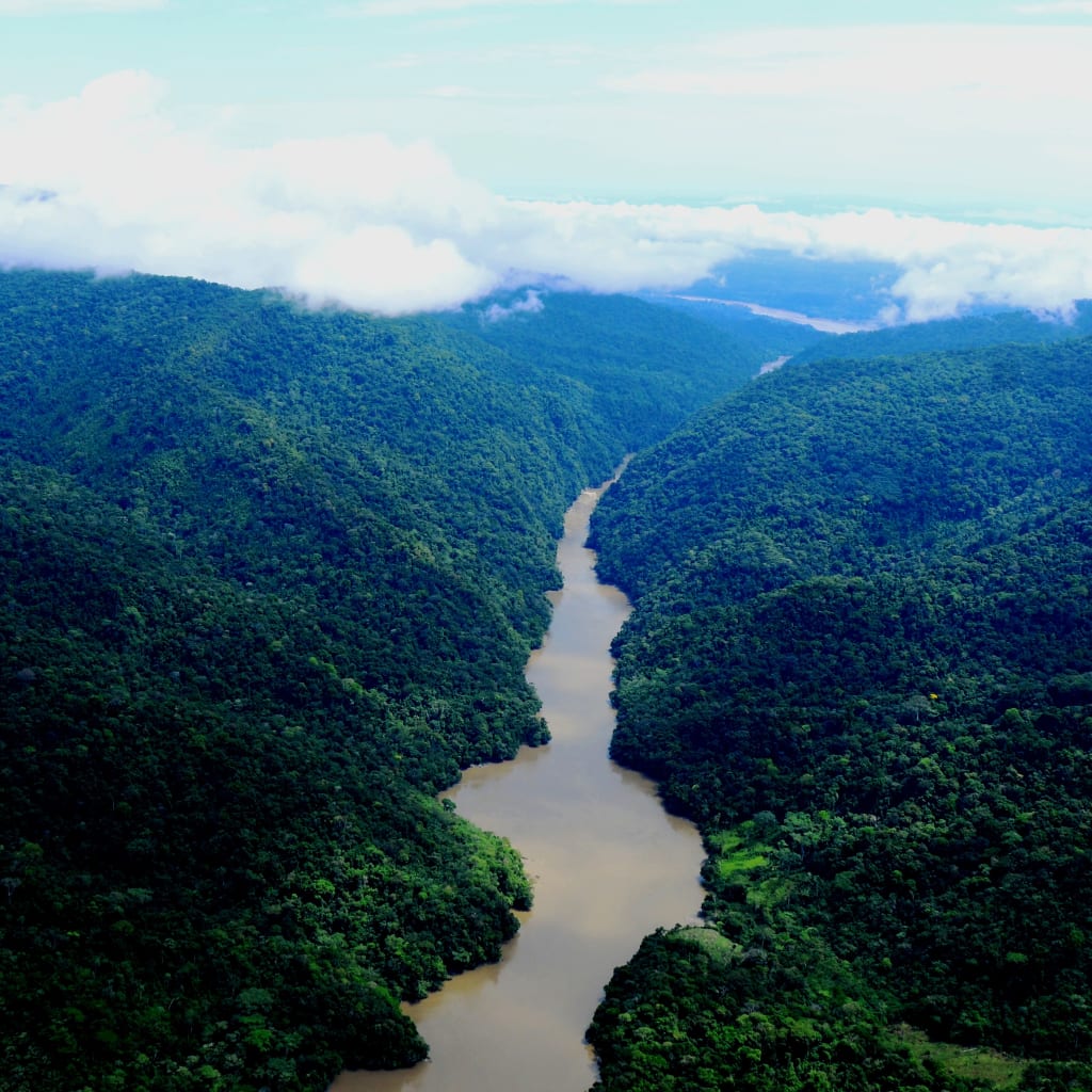 AI could optimize hydroelectric dams in the Amazon | FIU News - Florida ...