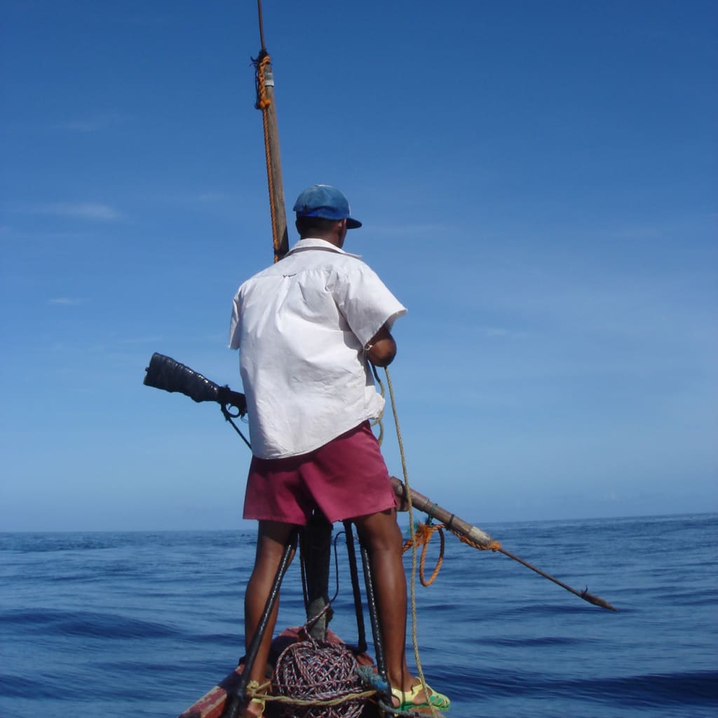 Artisanal whaling claims almost 14,000 whales since the 1940s in the ...