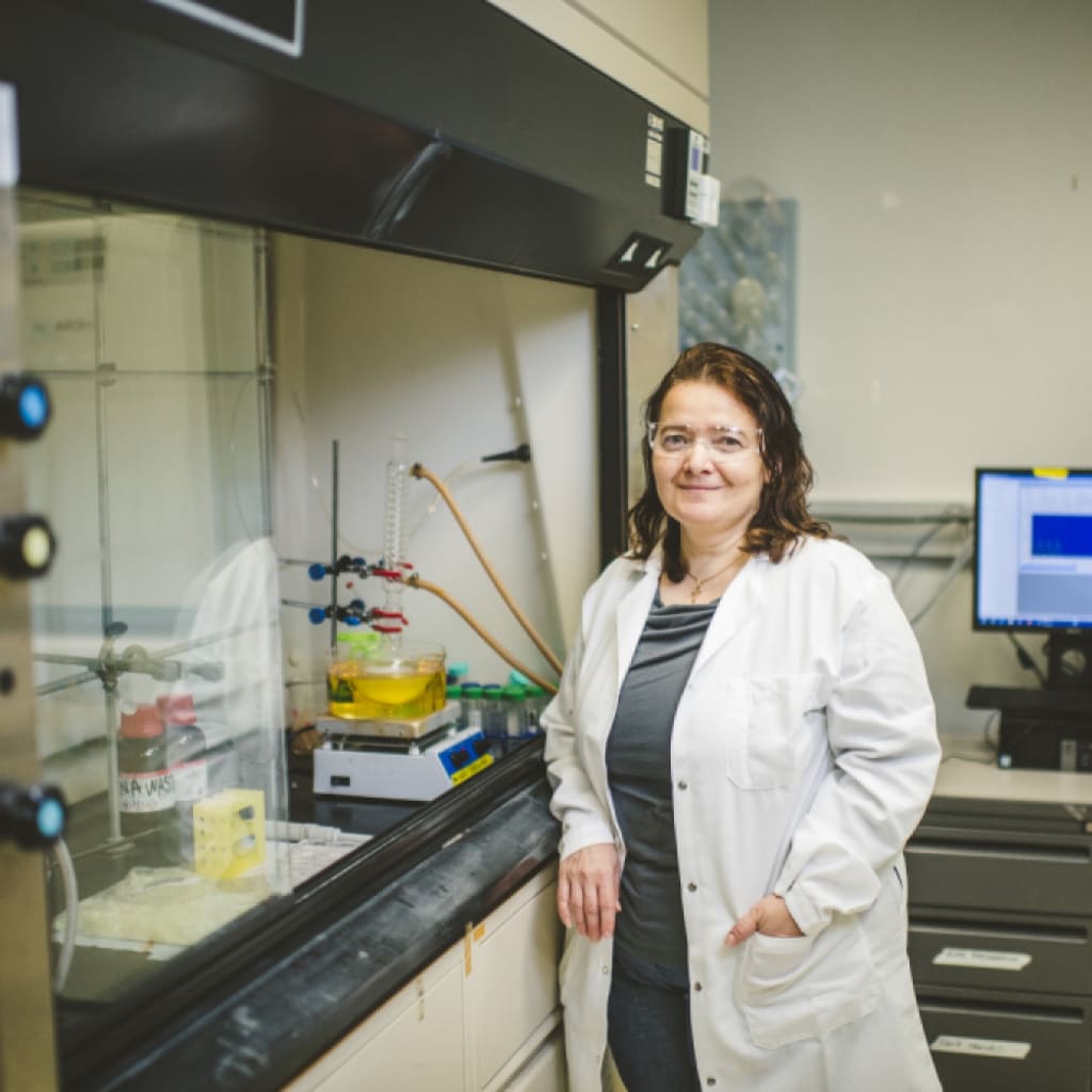 NSF awards FIU grant to increase diversity in materials engineering ...