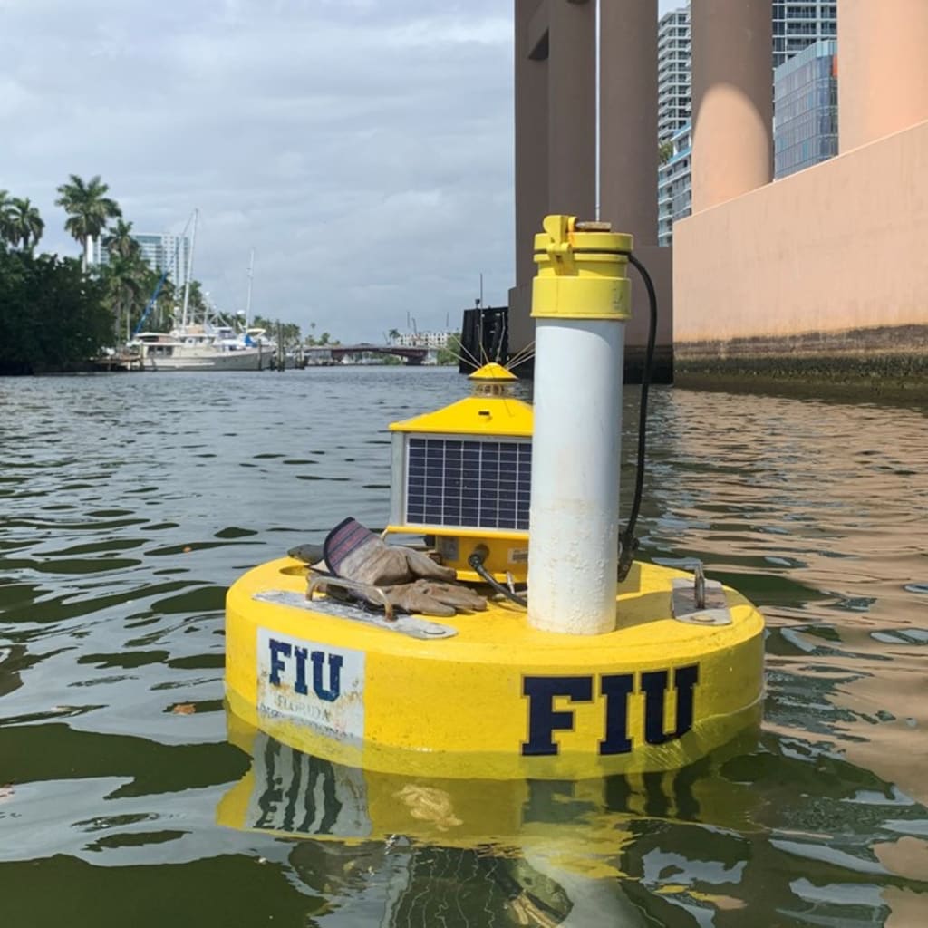 Longtime university supporter gives back to help save the bay | FIU ...
