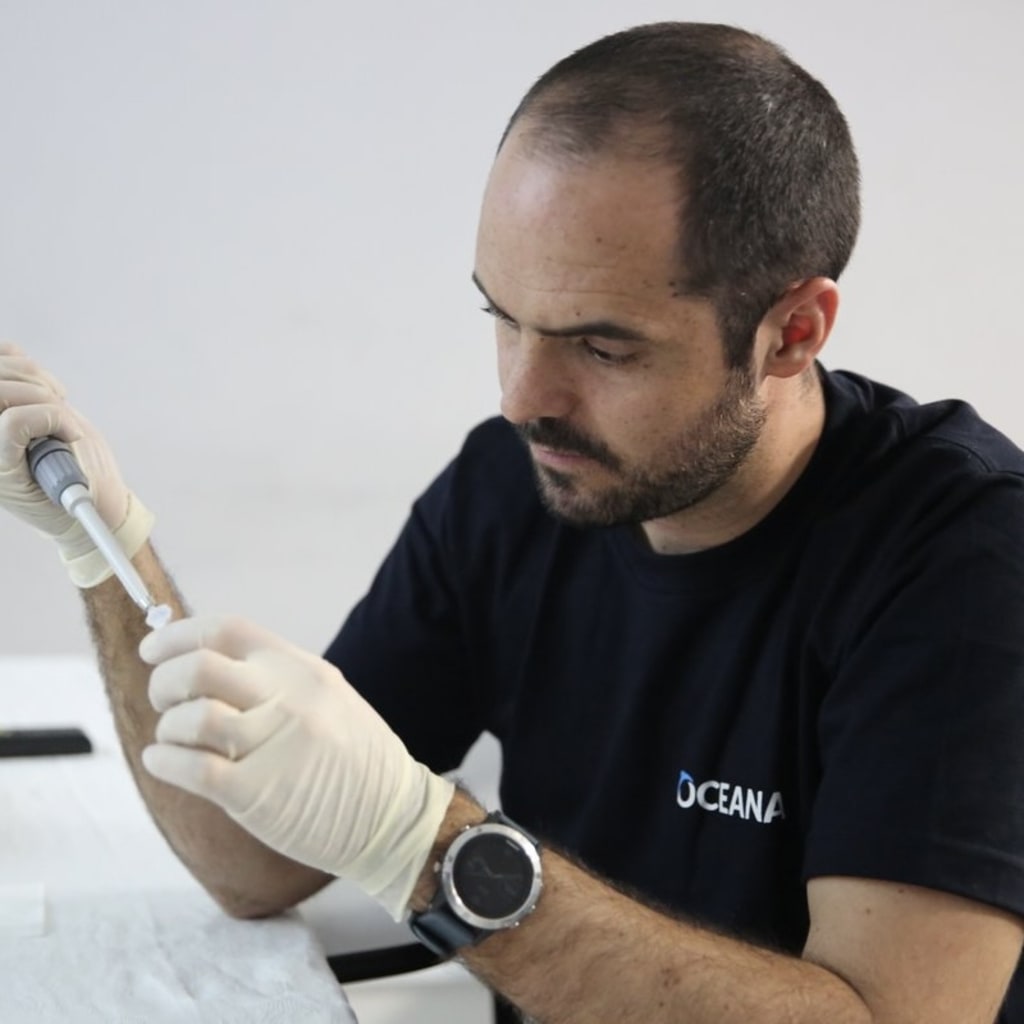 Marine biologist develops rapid DNA tool to combat illegal shark and ...