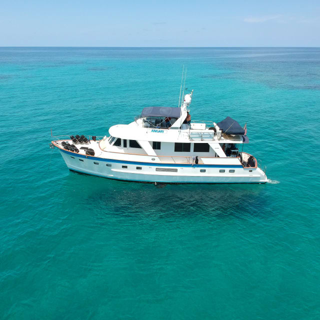 Inspiring the next generation of ocean explorers | FIU News - Florida ...