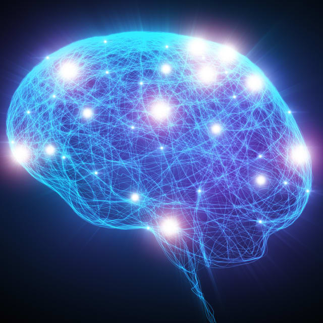Researchers unravel how the brain remembers | FIU News - Florida ...
