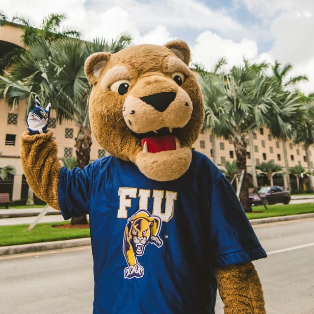Engage virtually with Panthers this fall semester | FIU News - Florida ...