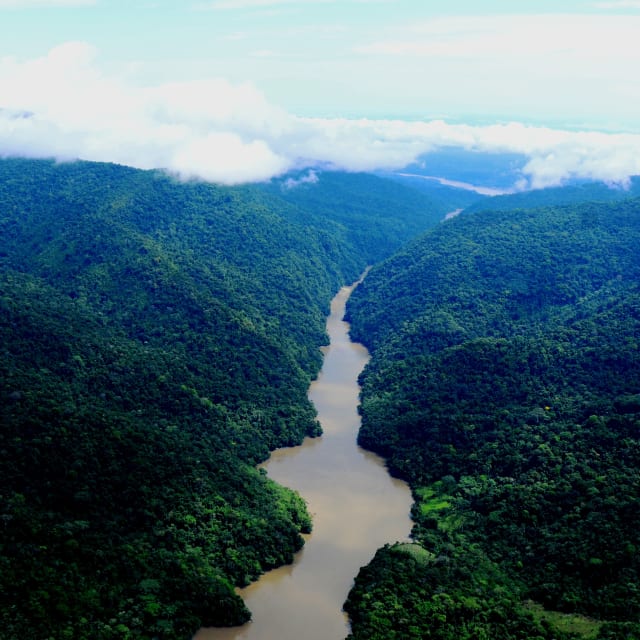 AI could optimize hydroelectric dams in the Amazon | FIU News - Florida ...
