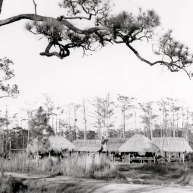 The land we are on | FIU News - Florida International University