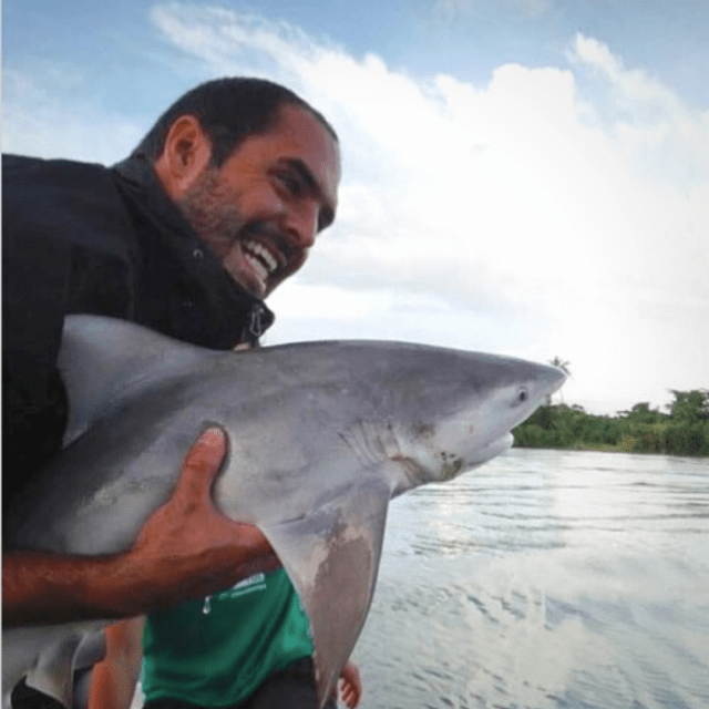 Shark researcher named to Explorers Club’s EC50 | FIU News - Florida ...
