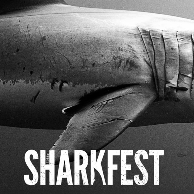 Zoepcbh_ onlyfans after that it was time for the fun part,