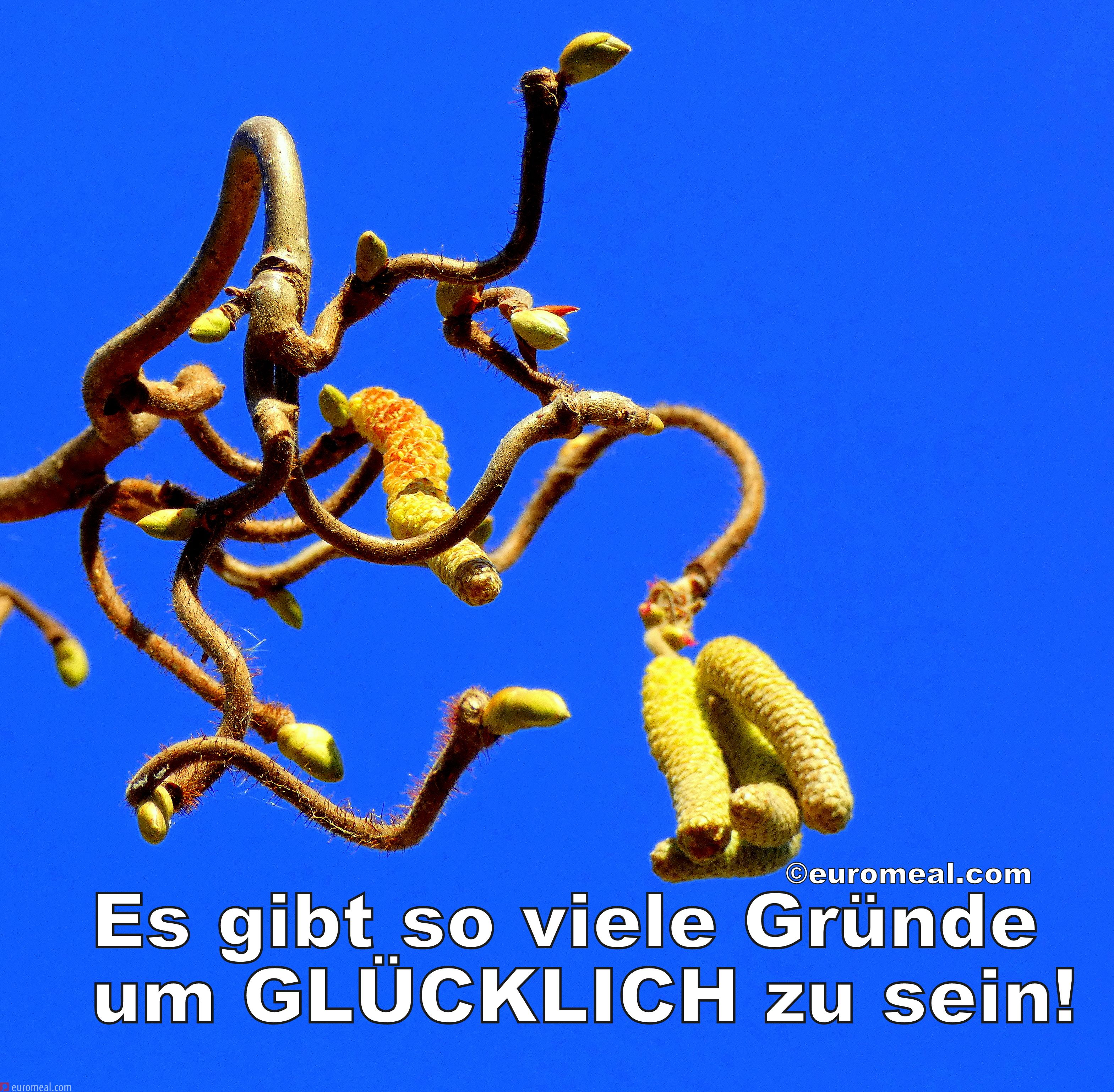 Du darfst glücklich sein - euromeal.com