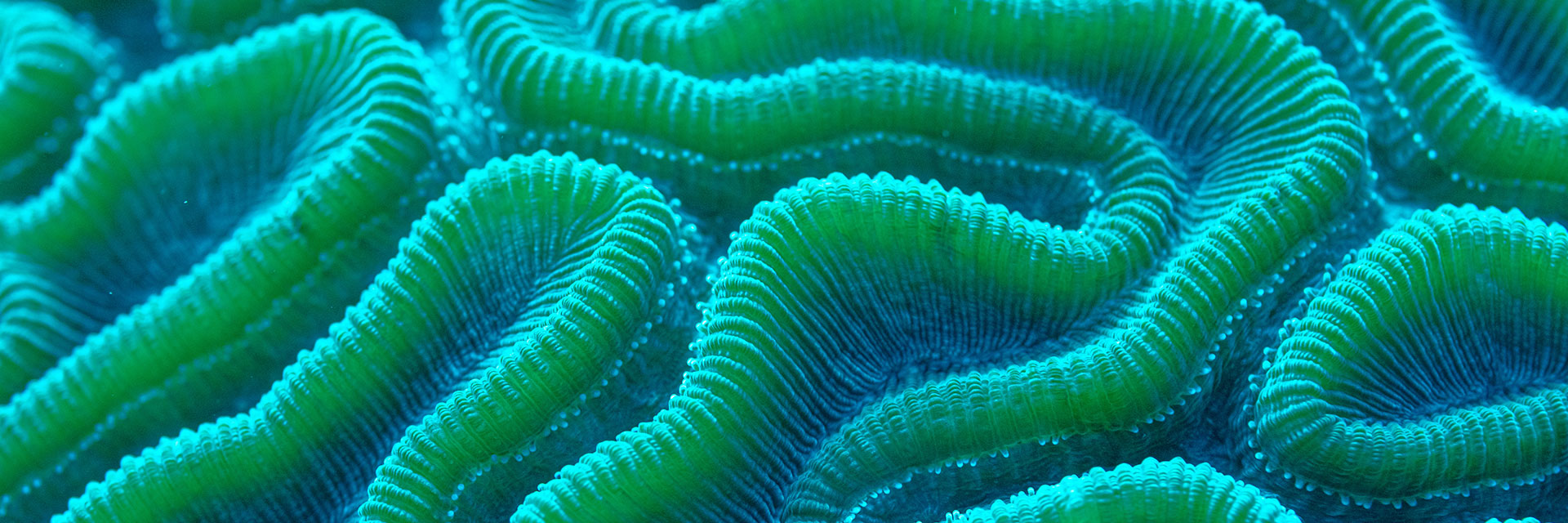 Digital Workplace Design Guide | Digital Realty