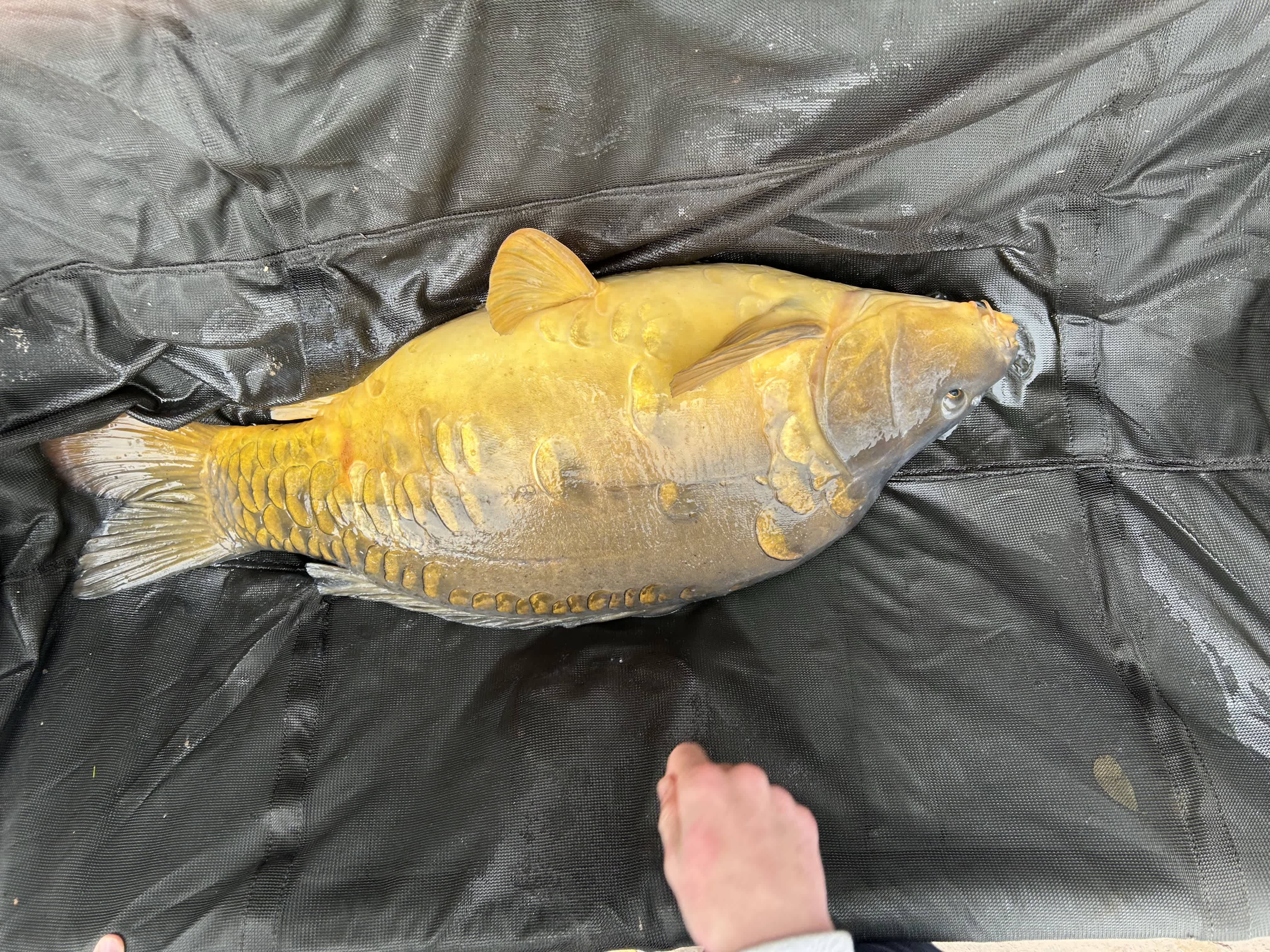 Raise your fishing game anywhere with Catch. Elevate your fishing ...