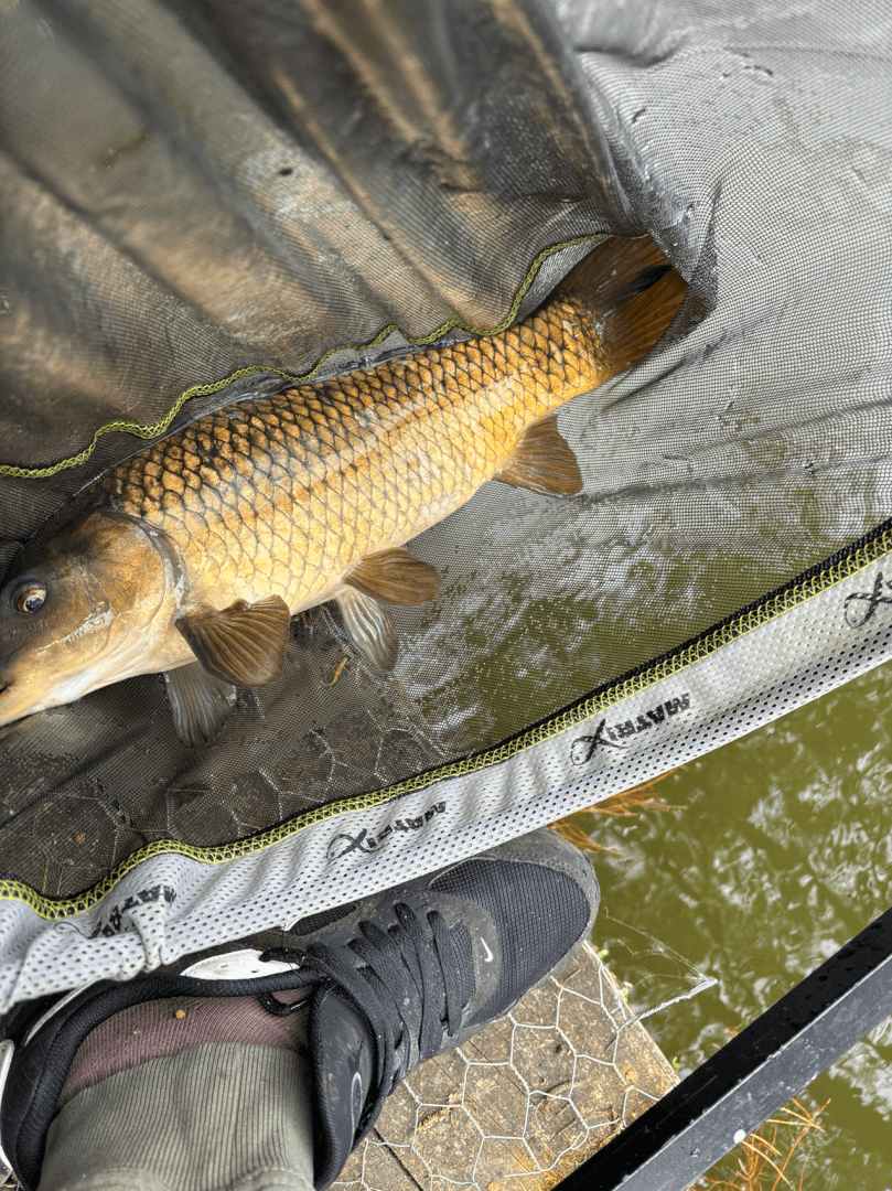 One place to go, for the novice or pro anglers | Catch