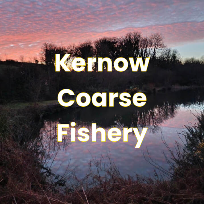 Raise your fishing game anywhere with Catch. Elevate your fishing ...