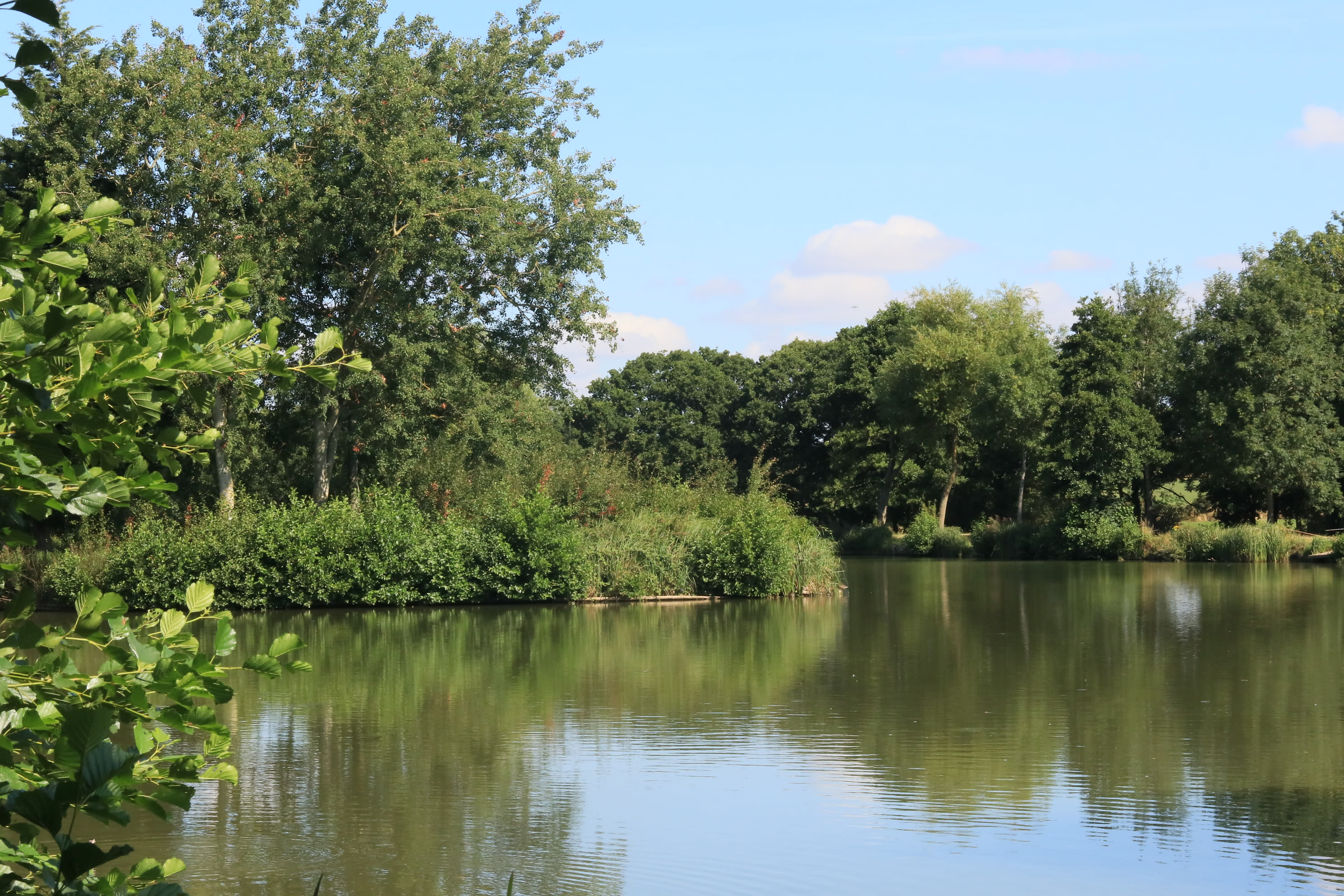 Raise your fishing game anywhere with Catch. Elevate your fishing ...